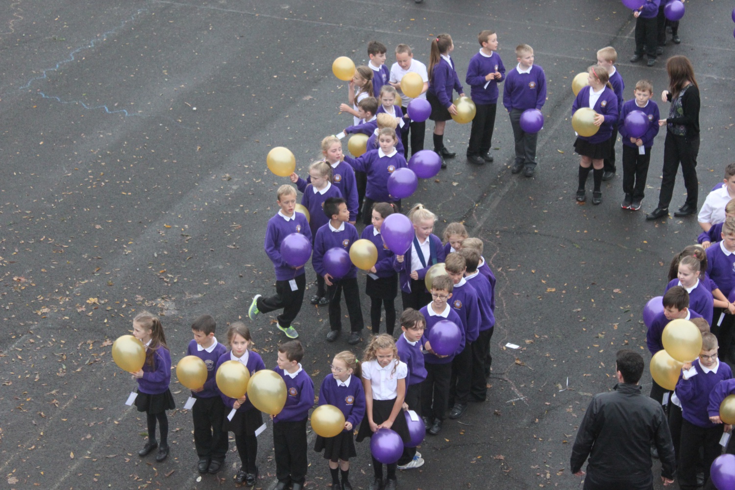 Bexhill turns 50! | Bexhill Academy